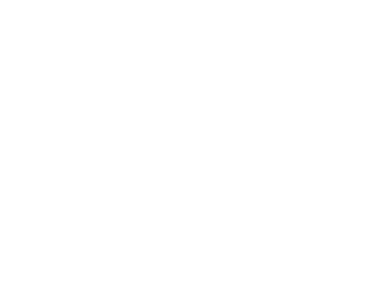 Conciertos - Melon Diesel